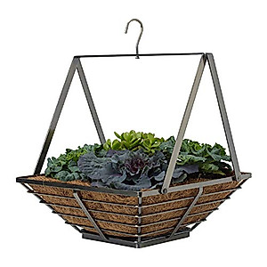 Gourmet Basics by Mikasa Rustic Basket with Banana Hook, One Size, Brass