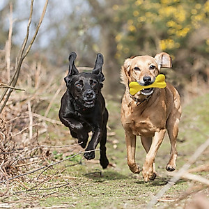 Qesonoo Dog Toys for Aggressive Chewers Dog SuperChewy Tough Dog Bone Toy for Large Medium Dogs Breed Strong Natural Rubber