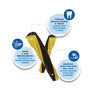 N-Bone FLOSSta Dual Action Dental Chews Mint Flavor, 12-oz Bag