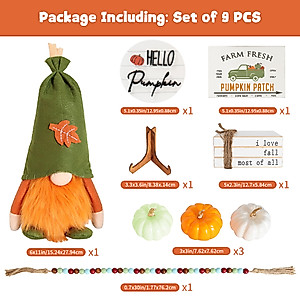Liswit Set of 9 Fall Tiered Tray Decor with Gnome Book Stack Hello Pumpkin 3 Artificial Pumpkins & Bead for Autumn Halloween Thanksgiving Harvest Decoration Home Decor Set