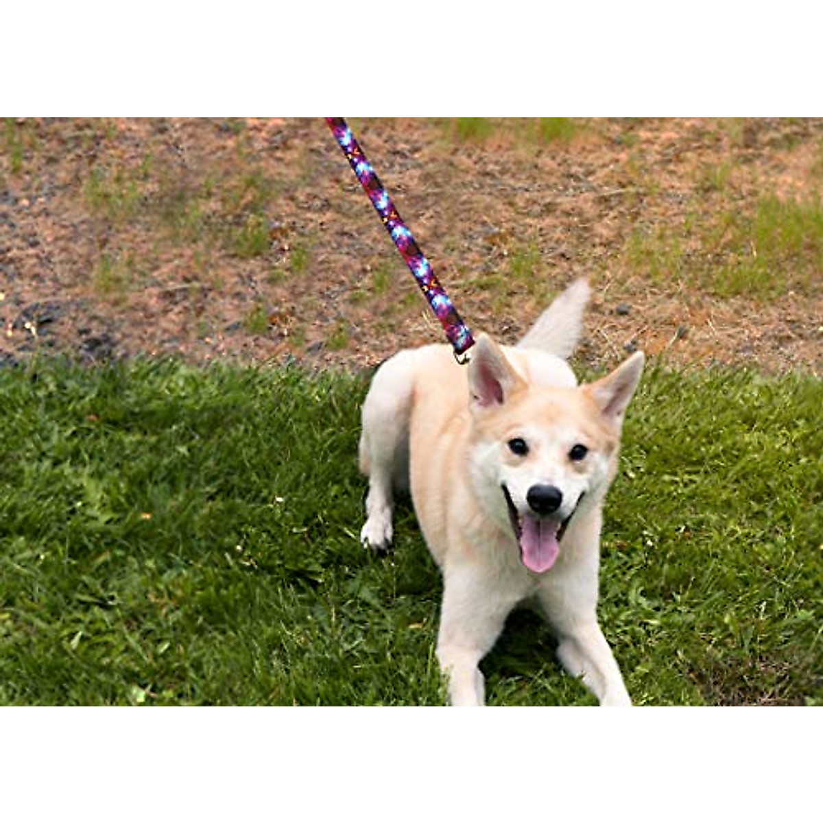 Moose Pet Wear Deluxe Dog Leash - Patterned Heavy Duty Pet Leashes, Made in The USA – 1 Inch x 4 Feet, Rainbow Stripe