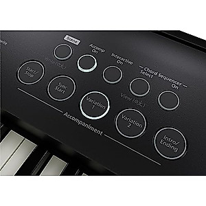 Roland FP-E50 Digital Piano | Supernatural Piano & Zen-Core Sound Engines | 88-Note Hammer-Action Keyboard | Professional Auto-Accompaniment | Mic Input with Vocal Harmony FX | Bluetooth/MIDI Support