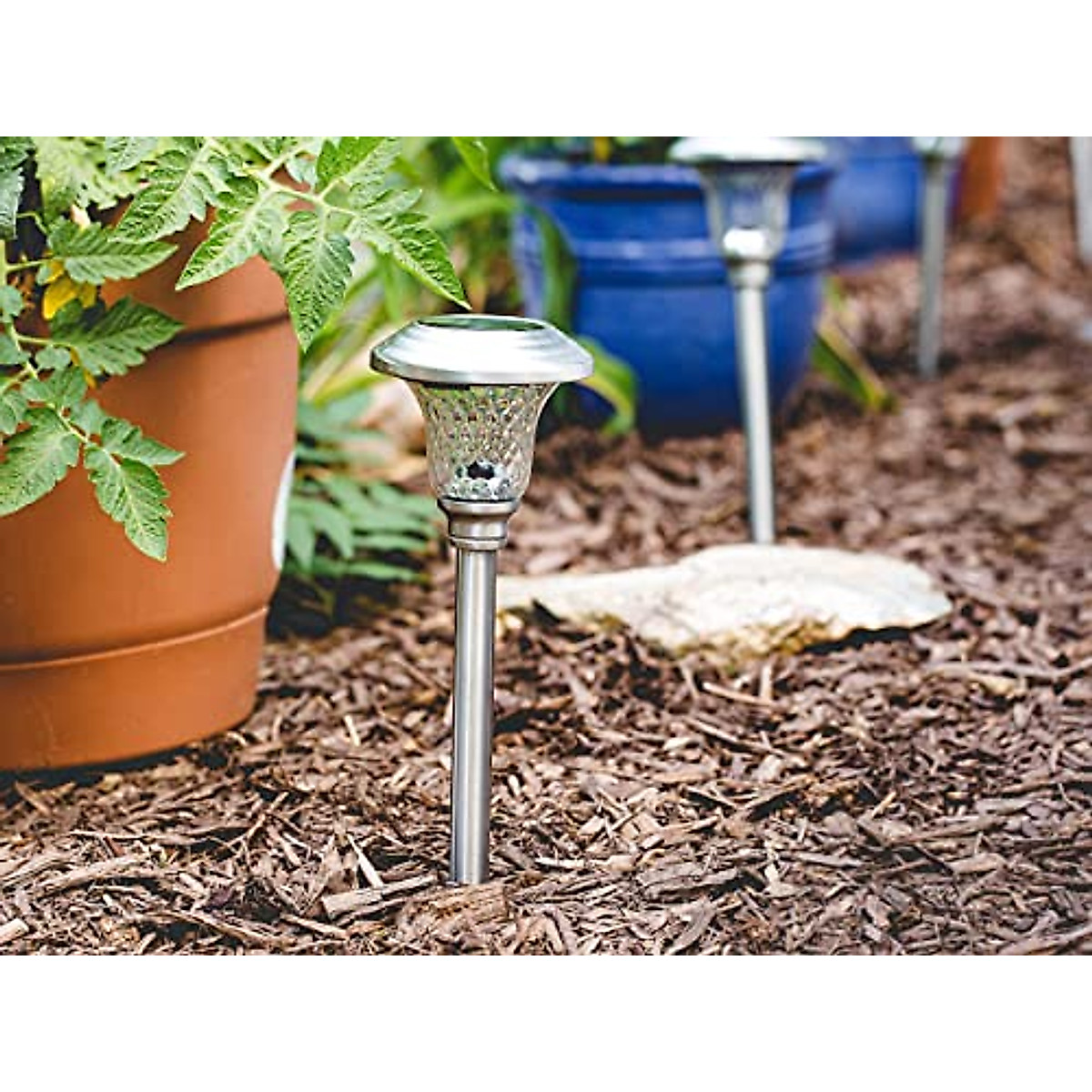 Signature Garden Solar Garden Lights - Auto On/Off Outdoor Bright Solar Pathway Lights - All-Weather/Waterproof Outdoor Solar Lights for Yard, Garden, or Driveway (8-Pack, Stainless Steel Silver)