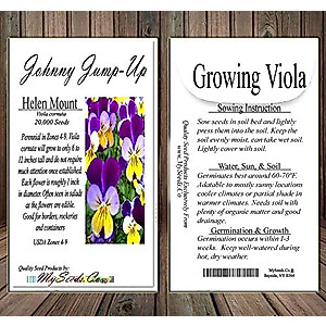 MySeeds.Co Big Pack - Johnny Jump Up Flower Seeds (20,000 Seeds) - Viola cornuta 'Helen Mount' - Edible Flower Seeds (Big Pack - Johnny Jump Up)