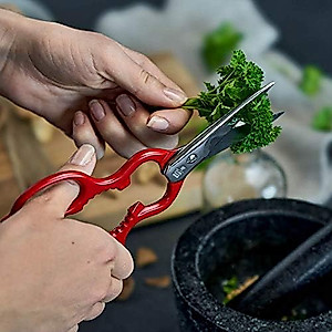 Zwilling Kitchen Shears, Multi-Purpose, Bottle Opener, Jar Lid Lifter, Dishwasher Safe, Heavy Duty, Forged Stainless Steel Blades, Red 7.9-inch