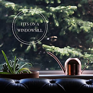 ALIVE CENTRAL Small Watering Can for Indoor Plants - Mini Watering Can - Rose Gold