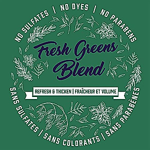 Aveeno Fresh Greens Shampoo + Conditioner with Rosemary, Peppermint & Cucumber to Thicken & Nourish, Clarifying & Volumizing Shampoo for Thin or Fine Hair, Paraben-Free, 12 Fl Oz