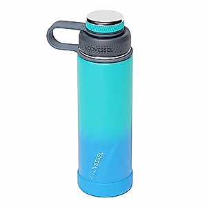 EcoVessel Stainless Steel Water Bottle with Insulated Dual Lid, Insulated Water Bottle with Strainer and Silicone Bottle Bumper, Coffee Mug – 20oz (Northern Lights)