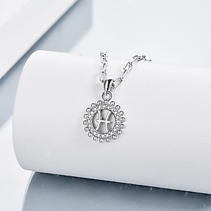 S925 Sterling Silver Zodiac Sign Necklace 12 Constellation Astrology Paperclip Chain Necklace for Women Pisces (2.19-3.20)