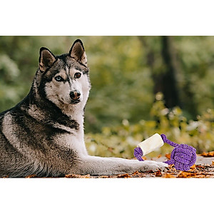 Crazy Tails Dog Chew Rope Toy for All Puppy Breeds Toys for Teething Small Dogs-Ring Ball with Bone