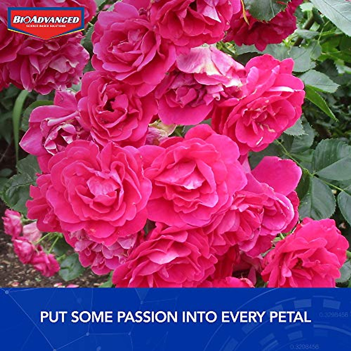 BioAdvanced 2-In-1 Systemic Rose and Flower Care, Granules, 10 lb