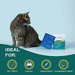 bSerene Valerian Calming Spot On for Cats 3 Applications Convenient Weekly Topical Natural Valerian Extract, Promotes Calmness and Relaxation