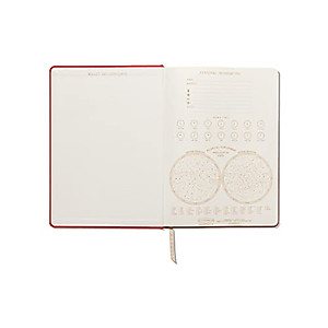 DesignWorks Ink Good Things Are Coming Orange 7.5" x 10.25" Jumbo Journal Notebook with Vegan Suede, Gold Arches Accents, Lined Pages, Ribbon Marker for Work, Writing, Journaling