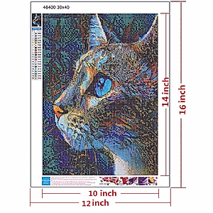 Cat Diamond Painting, 5D Diamond Painting Kits for Adults, 12.0x16.0 inch Animal Diamond Painting Kits, DIY Diamond Art Kits for Beginners, Very Suitable for Home Wall Decor