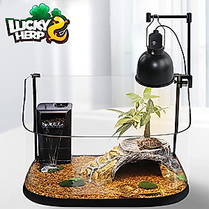 LUCKY HERP Aluminum 5.5inch Shallow Dome Reptile Light Fixture, Reptile Heat Lamp Fixture for UVB Bulb Basking Heat Bulb