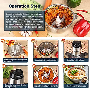 Food Processors Electric, Meat Grinder 2L Stainless Steel Meat Blender Food Chopper for Meat, Onion, Vegetables with 2pcs Bi-Level Blades, 2 Speed, 500W, 8 Cup (Meat Grinder with Single bowl)