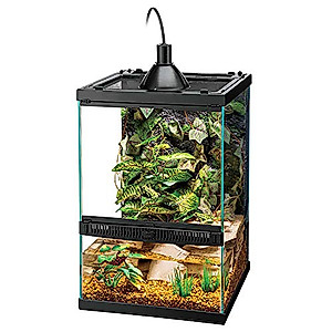 Zilla Tropical Vertical Habitat Starter Kit for Small Tree Dwelling Reptiles & Amphibians Like Geckos and Frogs 11 GAL