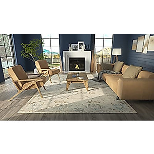 Momeni Anatolia Wool and Nylon Area Rug, 9'9" X 12'6", Beige