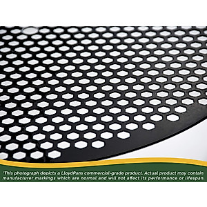 LloydPans Hex Disk, Pre-Seasoned PSTK (1, 12 inch)