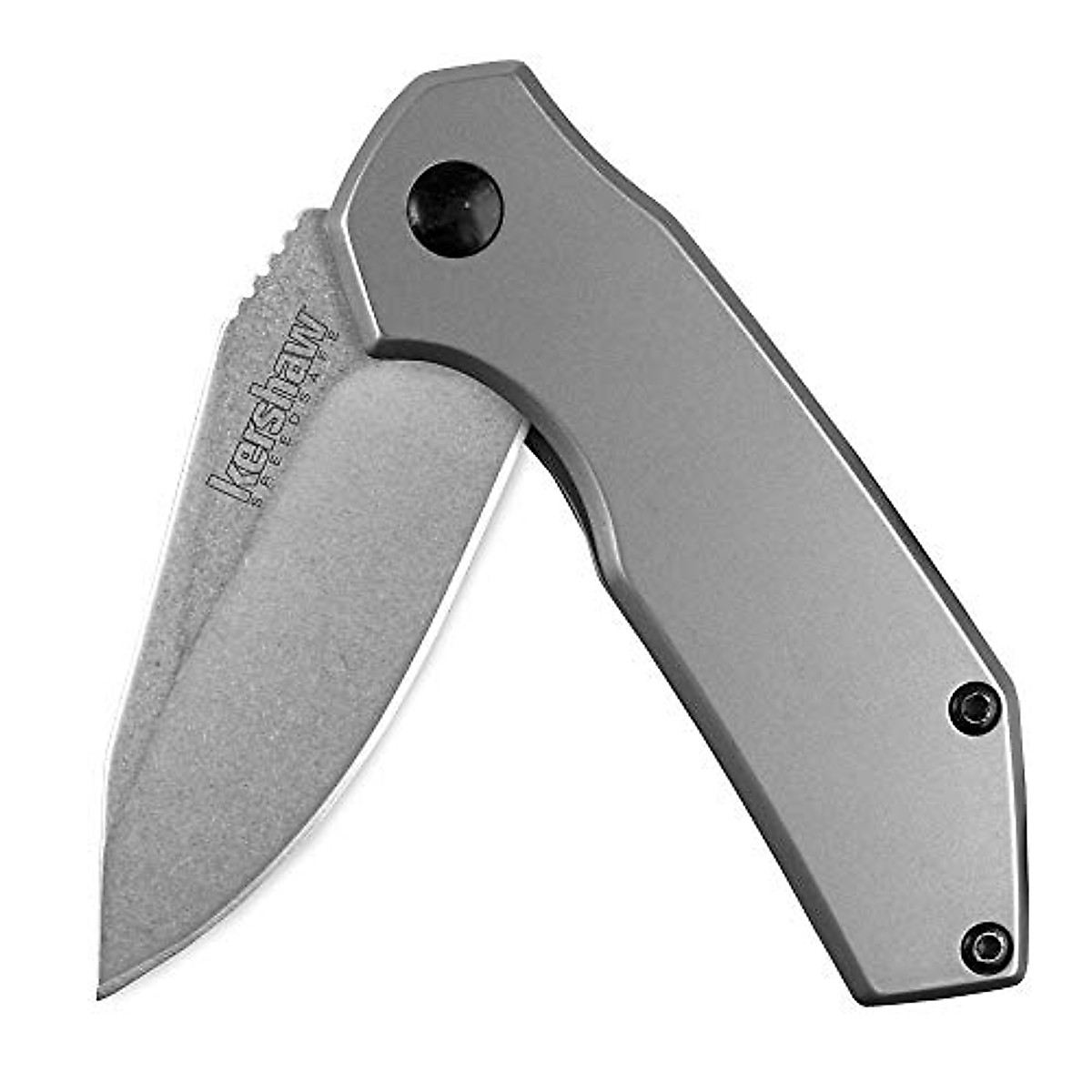Kershaw Valve Pocket Knife; 3" 4Cr13 Stainless Steel Blade; Assisted Folder Opening Knife; Mid-Sized EDC, Outdoor Knife