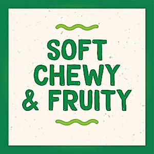 Black Forest Organic Gummy Bears Candy, 0.8 Ounce Pouches (65 Count)