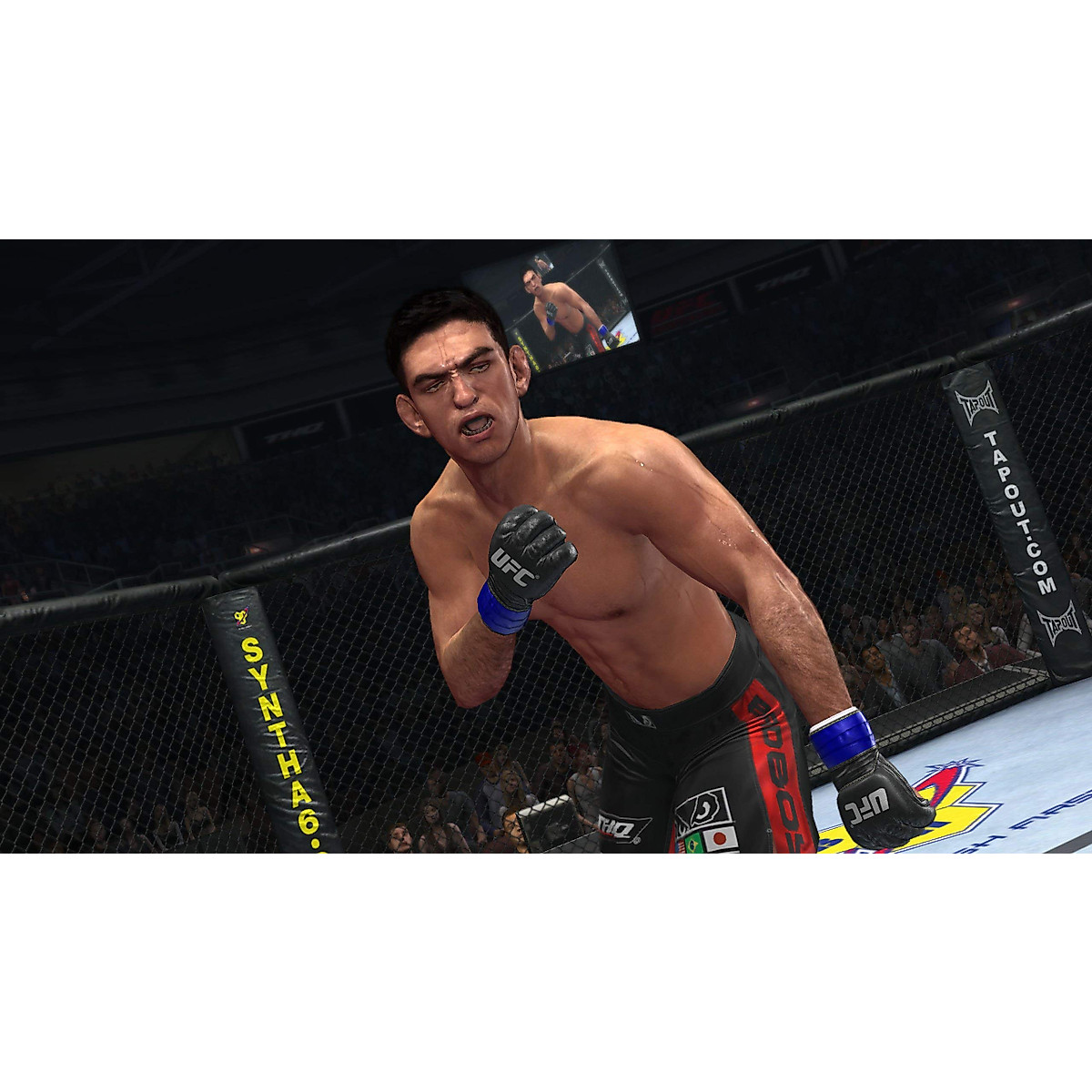 UFC Undisputed 2010 - Playstation 3 (Renewed)