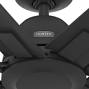 Hunter Fan Company 51590 Downtown Ceiling Fan, Matte Black, AAA