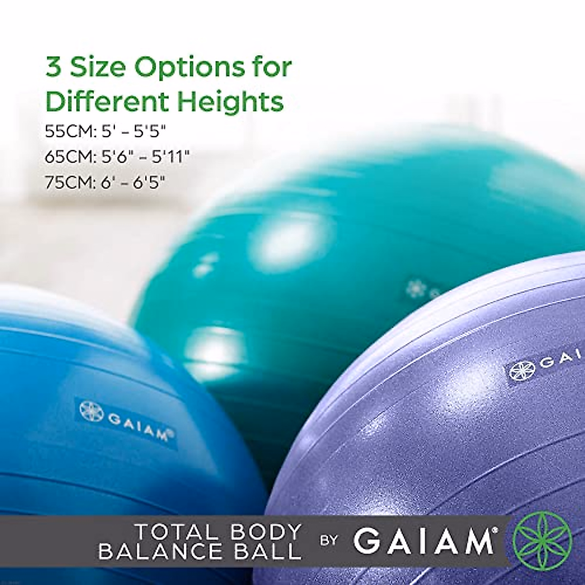 Gaiam 05-52205 Total Body Balance Ball Kit - Includes 75cm Anti-Burst Stability Exercise Yoga Ball, Air Pump & Workout Video - Blue