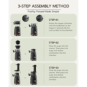 TUUMIIST Juicer Machines, Cold Press Juicer for Vegetable and Fruit with Upgraded Slow Juicing Technology, Powerful Motor and Reverse Function, Compact Size for Space-Saving Juicer, Black Gold
