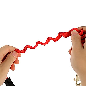 Dioche Kayak Paddle Leash, Safety Coil Leash Lanyard Fishing Rod Leash Cord Tether Hook