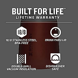 Stanley GO Everyday Tumbler 10OZ Cinnamon Glow