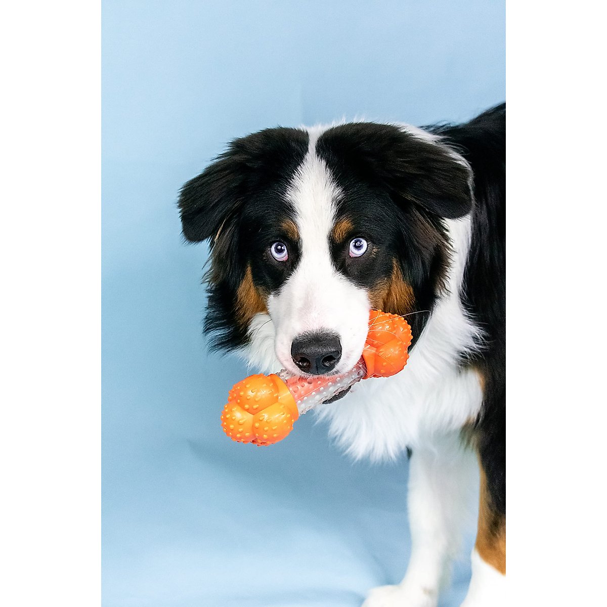 Nylabone Strong Chew Sneaky Snacker Treat Toy for Dogs, Interactive Dog Enrichment Chew Toys, Bacon Flavor, Large/Giant - Up to 50 lbs. (1 Count)