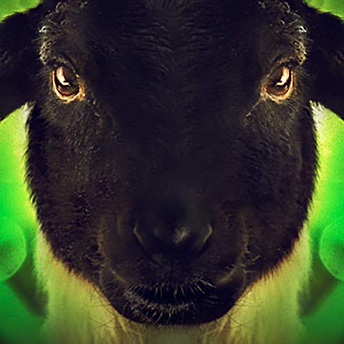 The Biggest Little Farm Blu-Ray