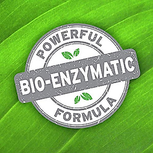 Bioda Septic System Saver, Professional Strength, 6-Pack, 6-Month Supply