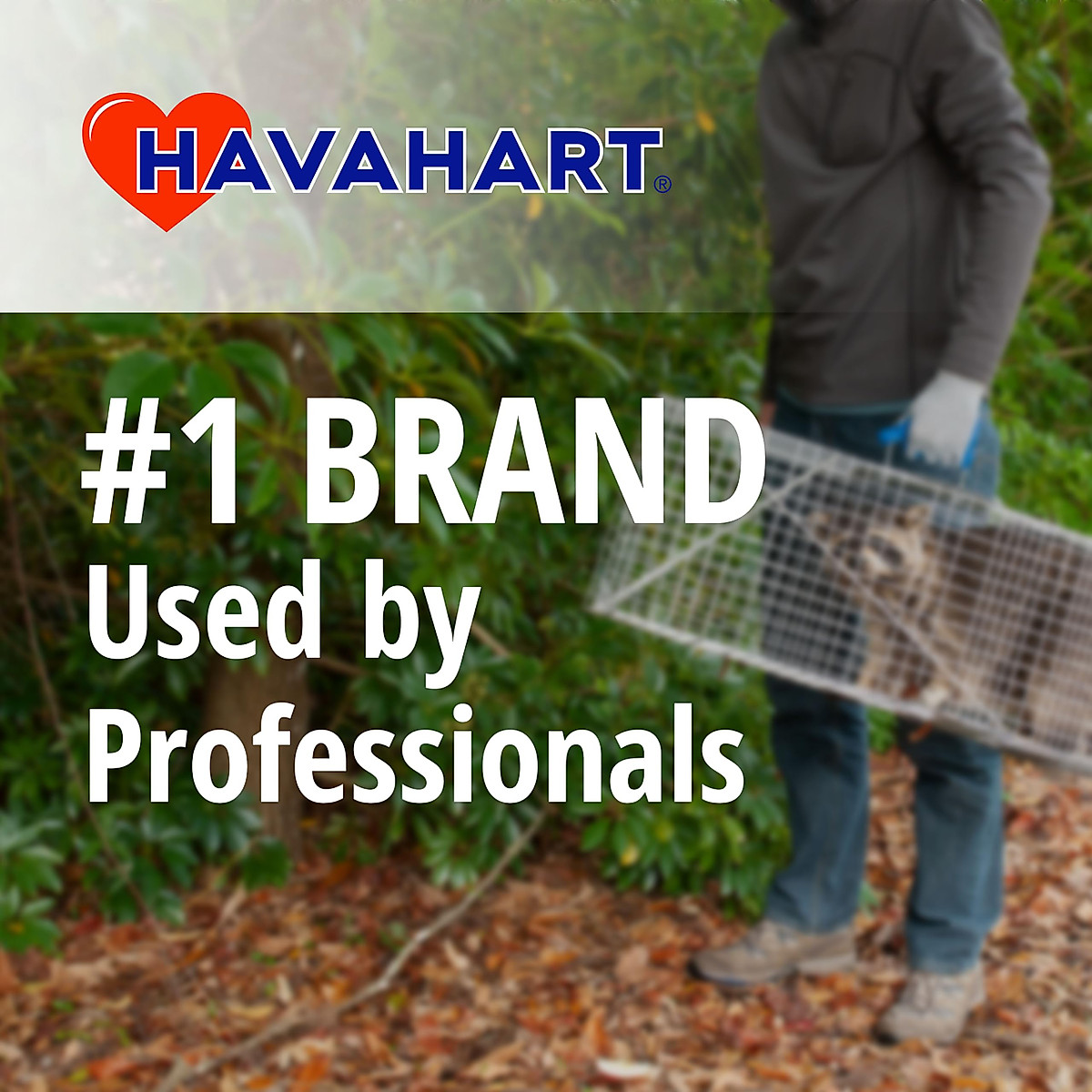 Havahart 1079SR Large 1-Door Humane Catch and Release Live Animal Trap for Raccoons, Cats, Bobcats, Beavers, Small Dogs, Groundhogs, Opossums, Foxes, Armadillos, and Similar-Sized Animals