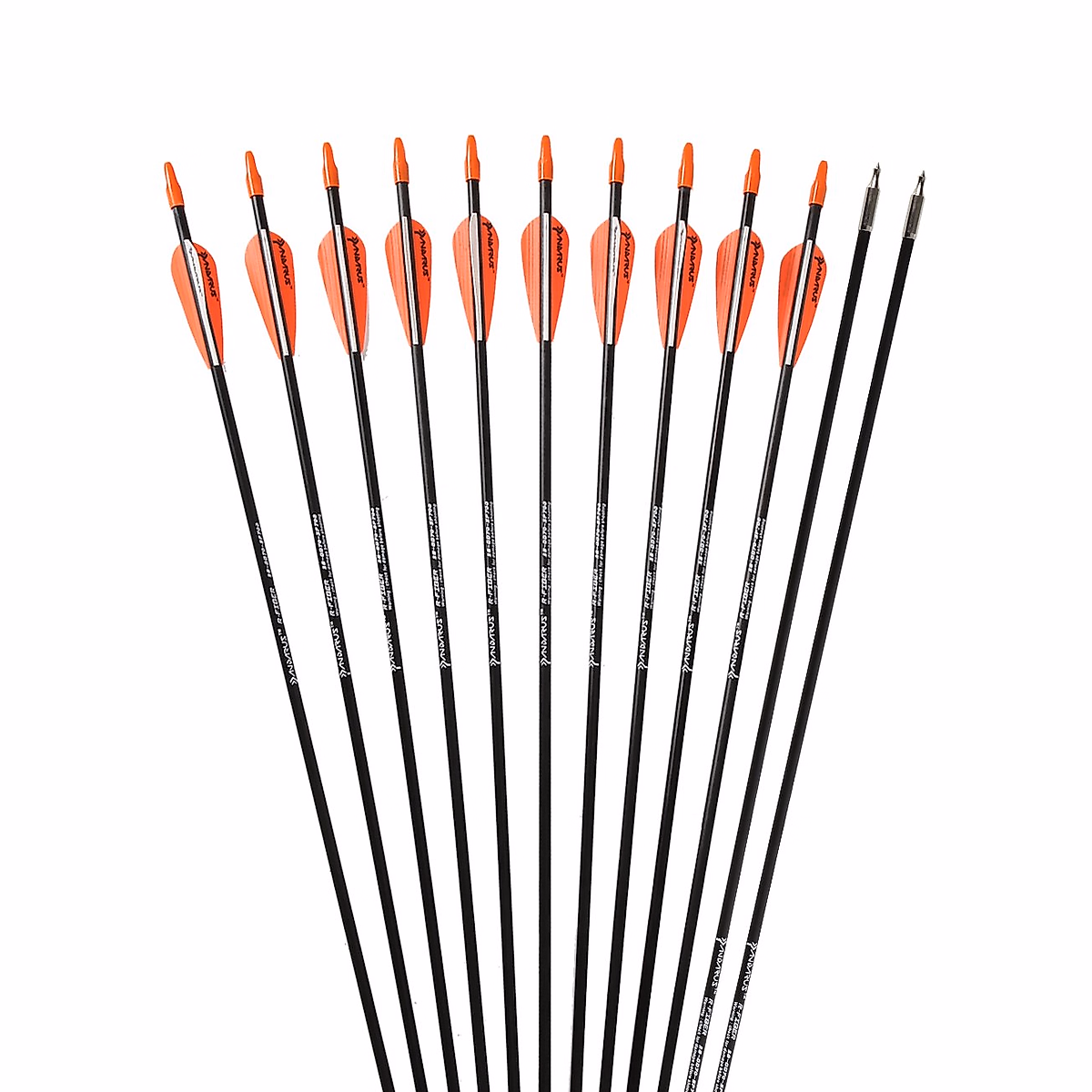 PANDARUS Archery 28" Fiberglass Archery Target Practice Arrows, for Children, woman or Beginner, for Recuve Bow(Pack of 12) …