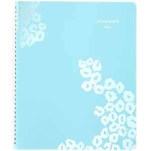 2022 Weekly & Monthly Appointment Book & Planner by AT-A-GLANCE, 8-1/2" x 11", Large, Wild Washes Teal (523-905)