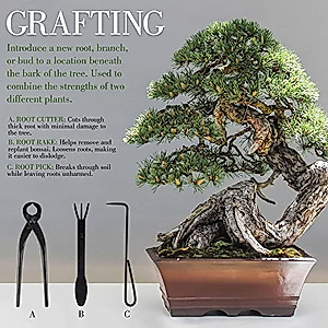 BambooMN 15 Piece Bonsai Master Tools Set with Case, Shears, Concave Cutter, Knob Cutter, Wire Cutter, Bonsai Trimming, Branch Bending, Beginner Friendly - 1 Set