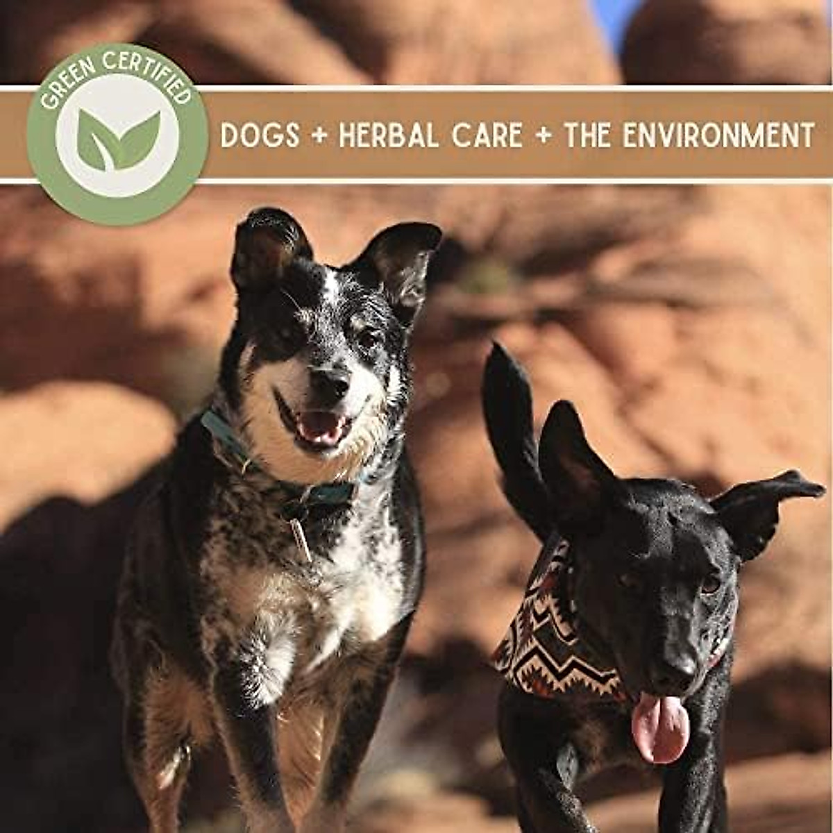 Farm Dog Naturals - Salvation Skin Care & Crusty Nose Balm for Dogs, 1 Ounce