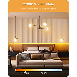 EDISHINE G25 LED Globe Light Bulbs, CRI90+ Makeup Bulbs, 5W Equivalent 25W, LED Vanity Light Bulbs for Bathroom, Makeup Mirror Light Bulbs, 2700K Warm White 450LM, E26 Base 4 Pack Non-dimmable
