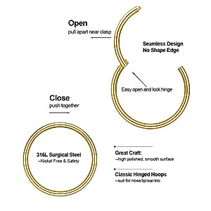 M MOOHAM Nose Rings for Women, 20g Gold Hoop Earring Surgical Steel Hypoallergenic Hinged Small Nose Ring 20 Gauge 8mm Septum Lip Ring Cartilage Hoop Earring Conch Piercing Jewelry