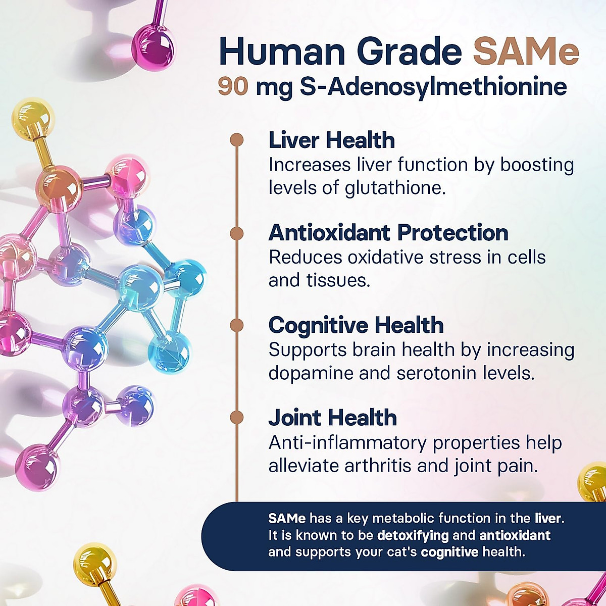 SilymarinAdvanced Liver Health Supplement for Cats - Milk Thistle for Cats Liver Support with S-Adenosylmethionine (Same) & Silybin - Liver Detox for Cats - 30 Tablets
