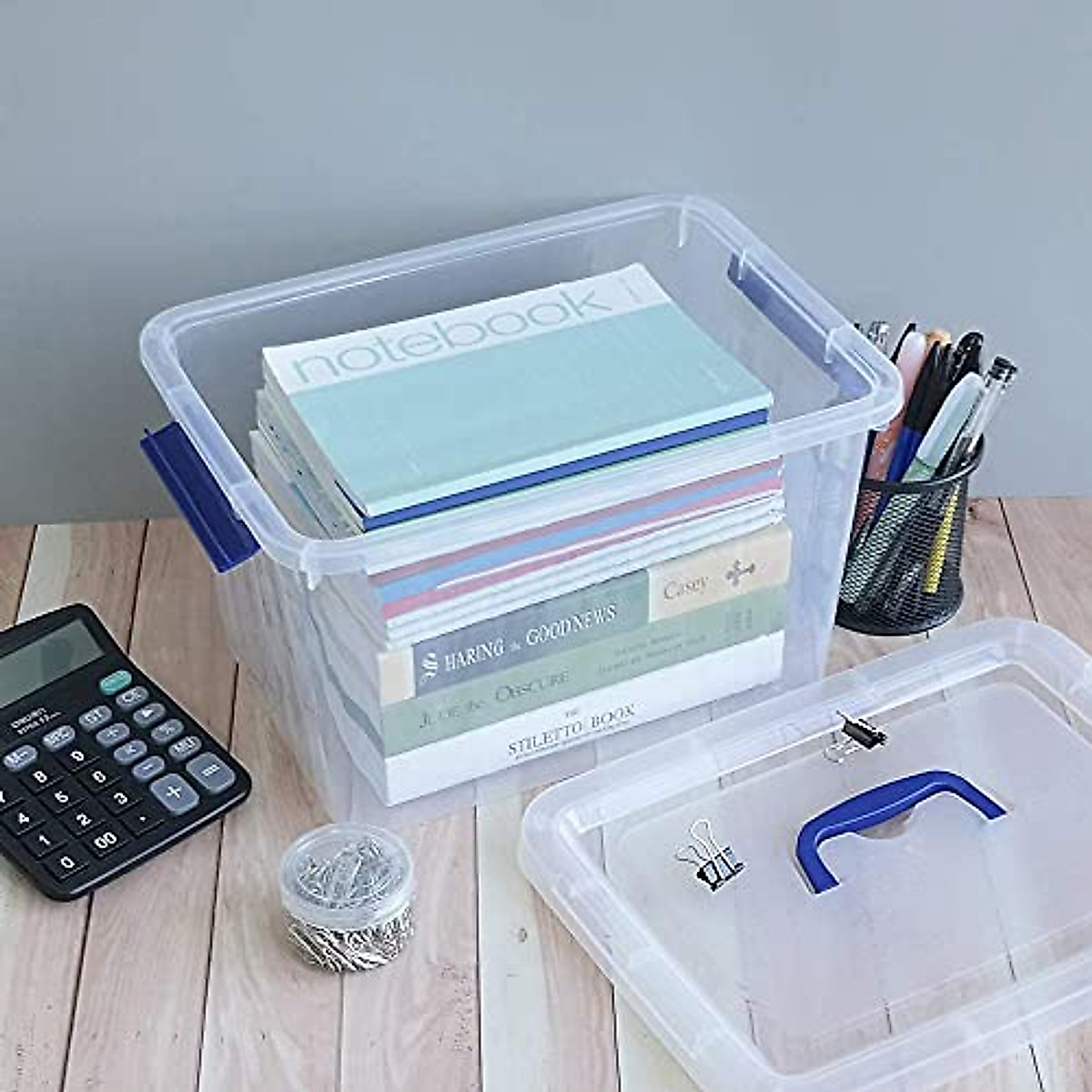 Pekky 12 L Plastic Toys Storage Containers with Lid, Clear Bin Latching Box, Set of 1