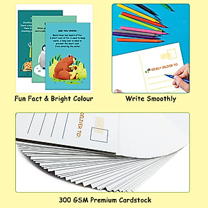 40 Pack Animal Fun Fact Postcards for Kids 4” x 6” Animal Greeting Cards Animal Knowledge Cards Animal Thank Note Cards Funny Cards Pack for Students, Friends and more