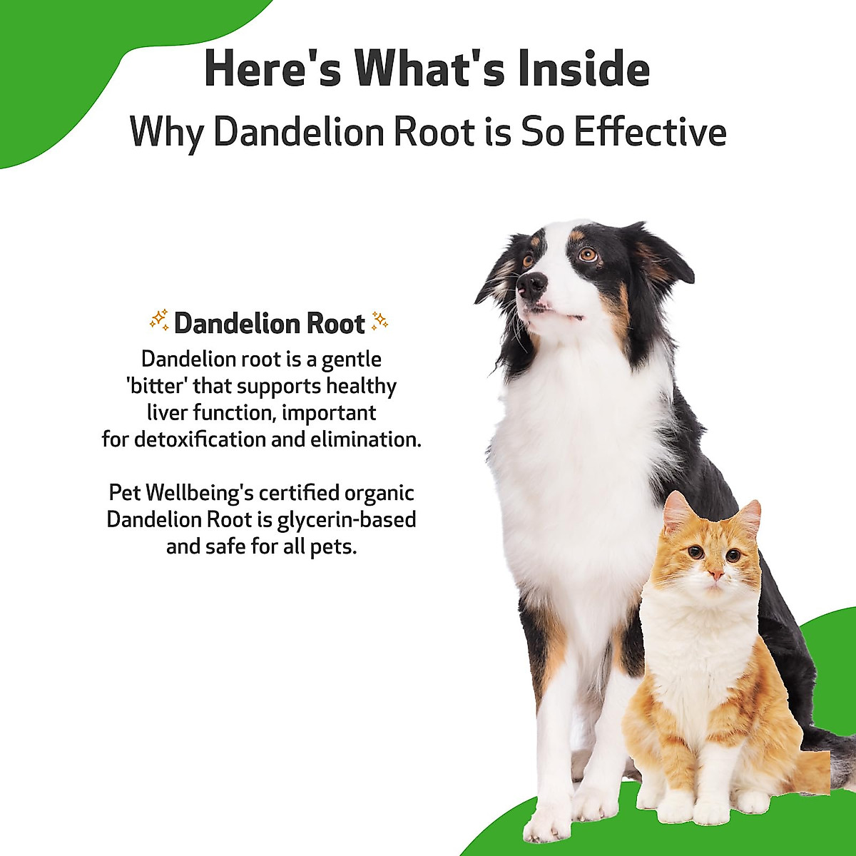 Pet Wellbeing Dandelion Root for Dogs & Cats - Liver & Heart Health, Digestive Function, Blood Sugar Support, Certified Organic - Veterinarian-Formulated Herbal Supplement 4 oz (118 ml)