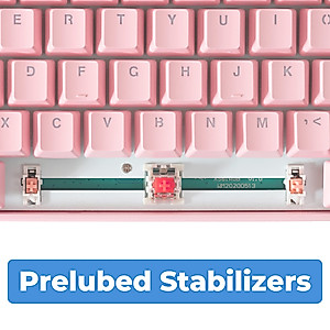 Koi Co (Koi61) Hot Swappable Keyboard - 60 Percent Hot Swap Keyboard - 5 pin Hotswap Keyboard- DIY Custom Keyboard - 60 Percent Keyboard - RGB Mechanical Keyboard - Keyboard PCB