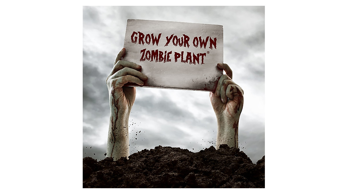 Grow Real Zombie Plants - Unique Fun Activity Pack
