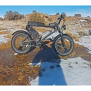 YYG Electric Bike 1200W, 20 Inch Fat Tires Ebike for Adult, 32Mph & 40Miles Electric Bicycle Mountain E-Bike 48V 20AH for Commute (Style 01)