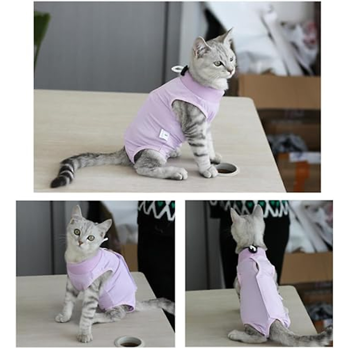 Yoolhamy Cat Recovery Suit for Post After Surgery, Elizabethan Collar & Cone Alternative, Anti-Licking Wound for Abdominal Wounds or Skin Diseases Kitten Bodysuit (Purple, L)