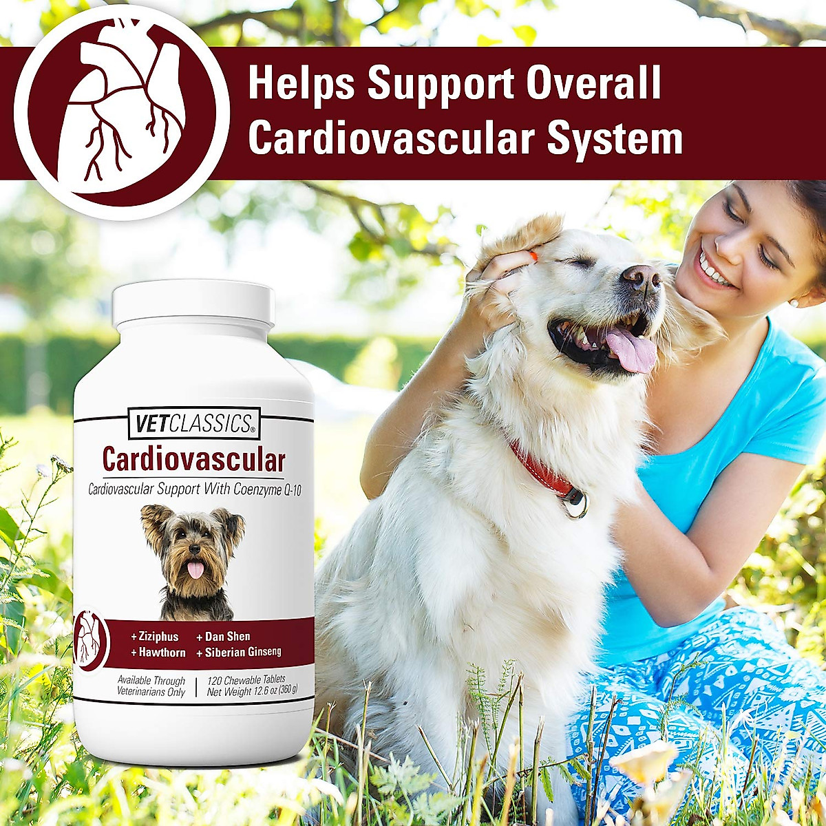 Vet Classics Cardiovascular Support with Coenzyme Q-10 for Dogs, Supports Cardiovascular System with Ziziphus, Dan Shen, Hawthorn, & Siberian Ginseng, 120 Chewable Tablets